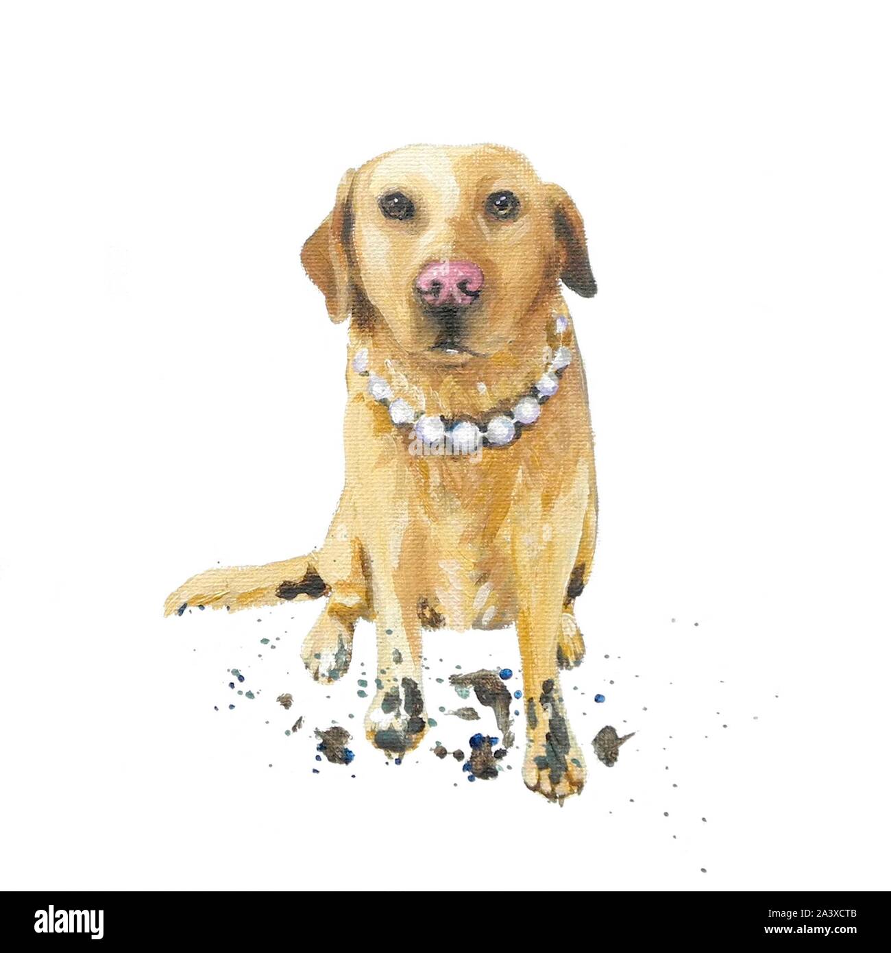 Painted Golden Lab