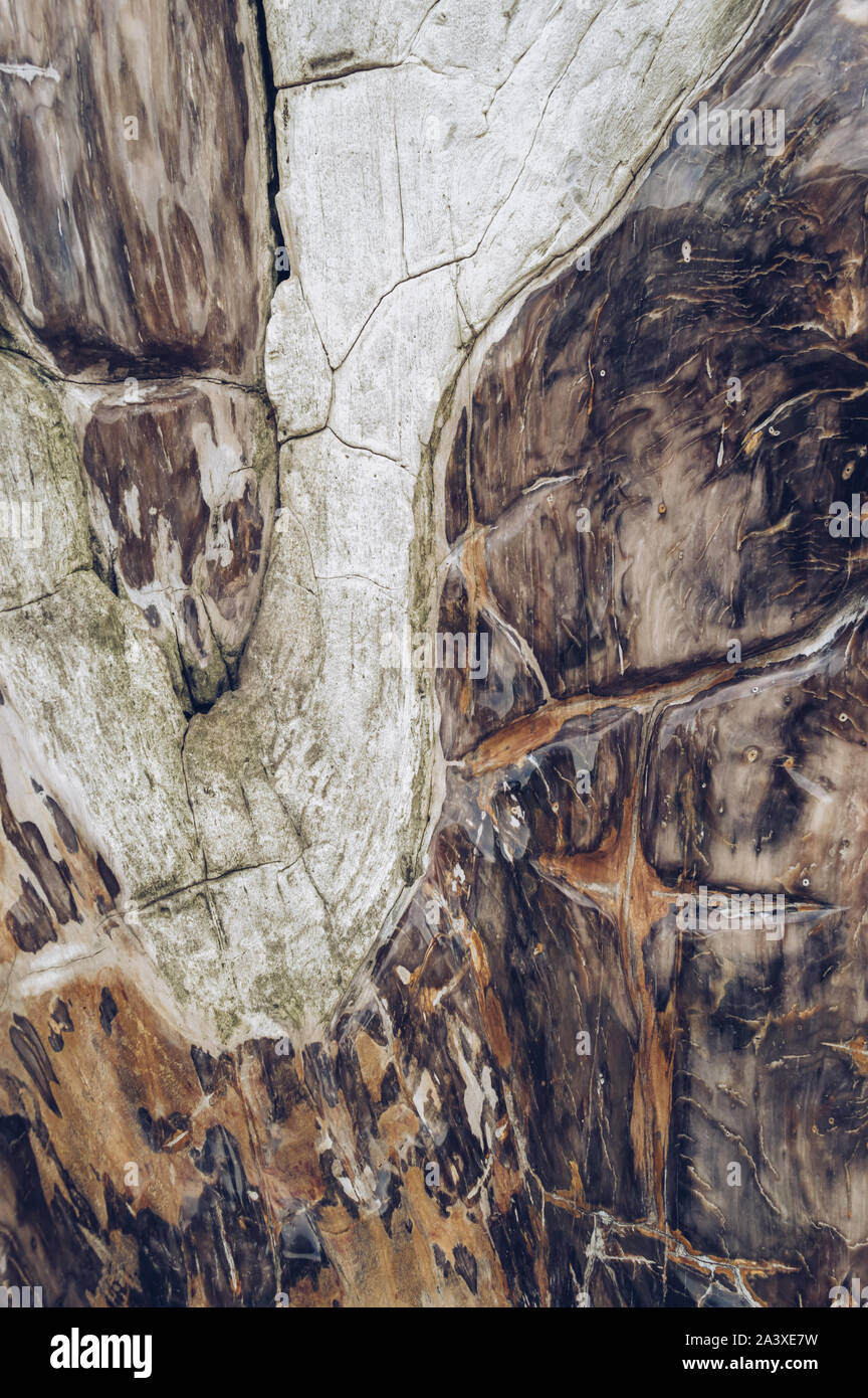 unique wooden like stone texture Stock Photo - Alamy
