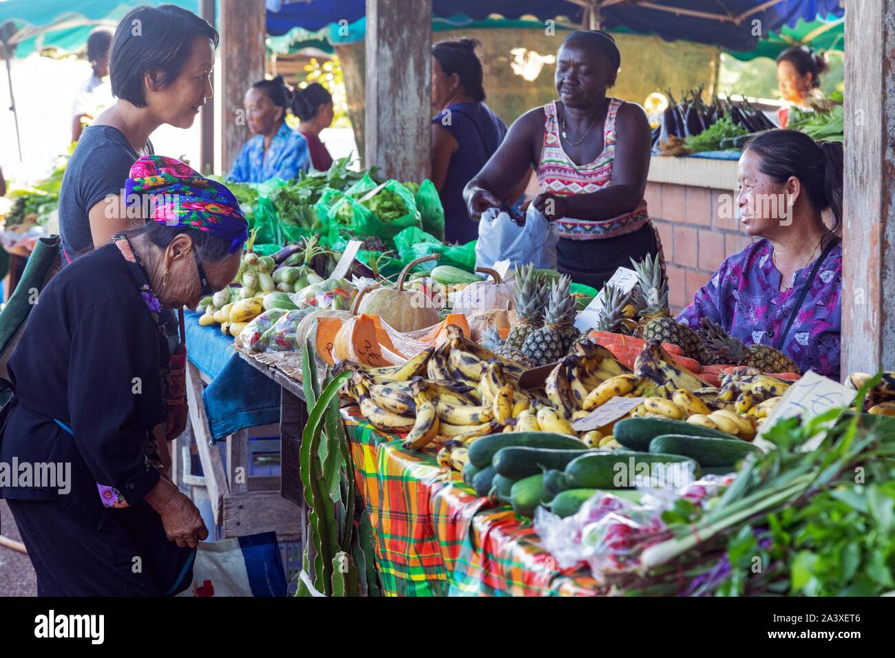 TRADITIONAL HMONG MARKET, THE HMONGS ARE PEOPLE FROM ASIA, VILLAGE OF ...