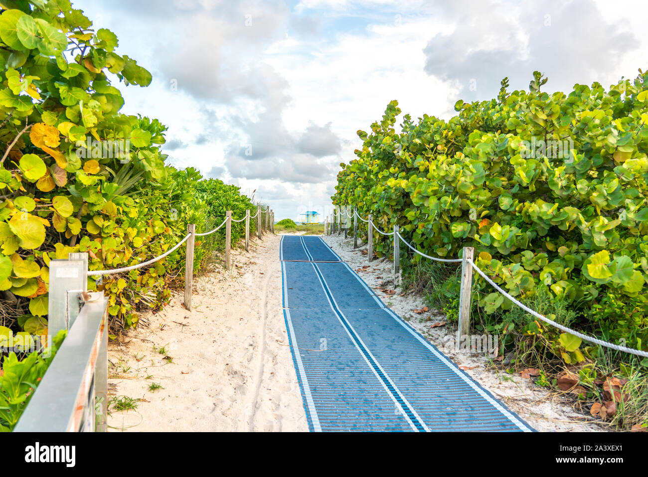 Pathway to the beach in Miami Florida with an ocean background Stock ...