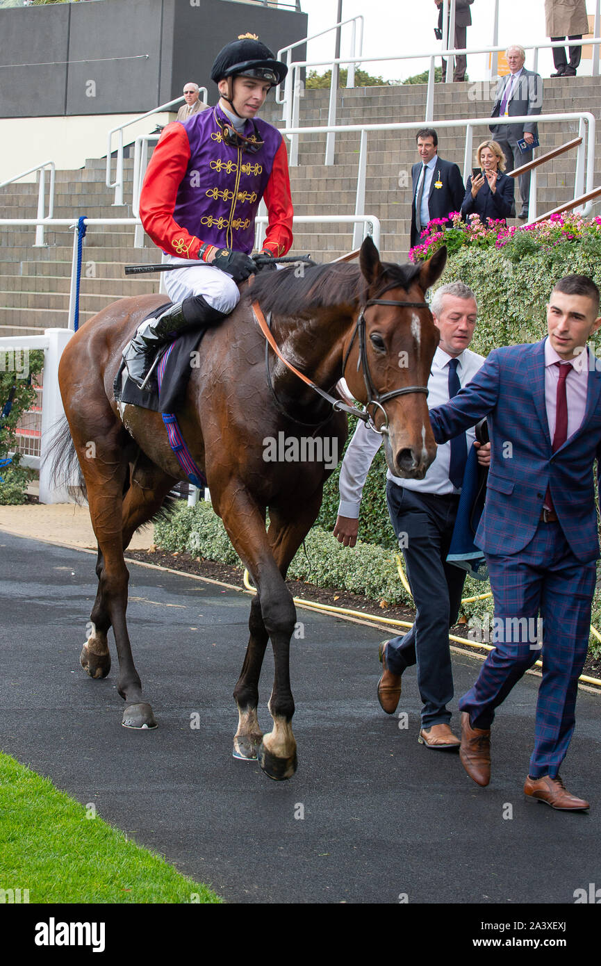 Autumn Racing Weekend & Ascot Beer Festival, Ascot Racecourse, Ascot ... Autumn Racing Weekend & Ascot Beer Festival, Ascot Racecourse, Ascot ...