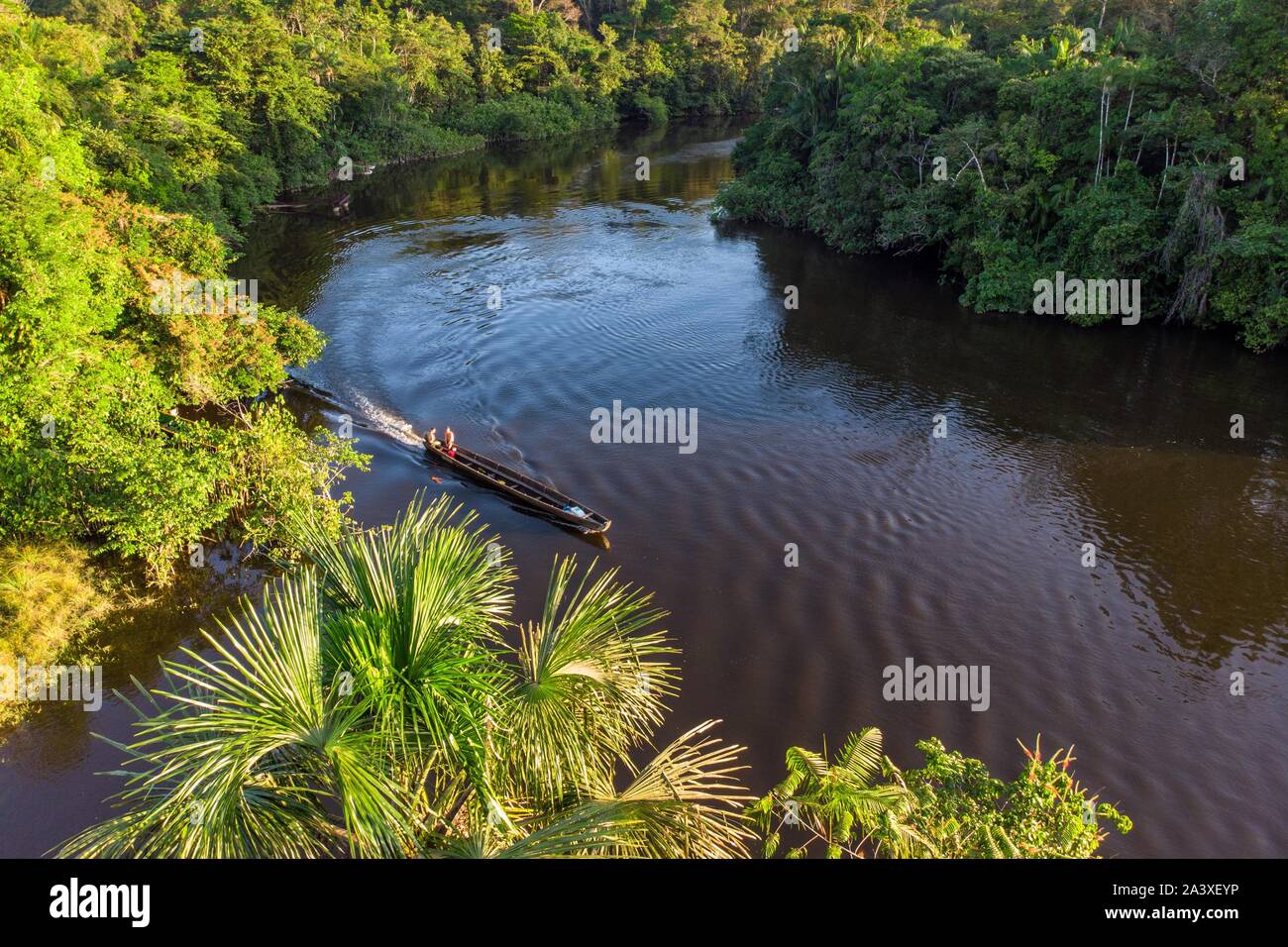 THE KOUROU RIVER SEEN THROUGH THE CANOPY OF THE AMERINDIAN FOREST ...