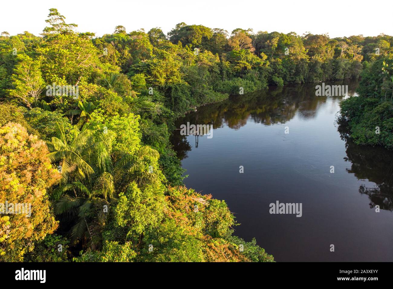 THE KOUROU RIVER SEEN THROUGH THE CANOPY OF THE AMERINDIAN FOREST ...