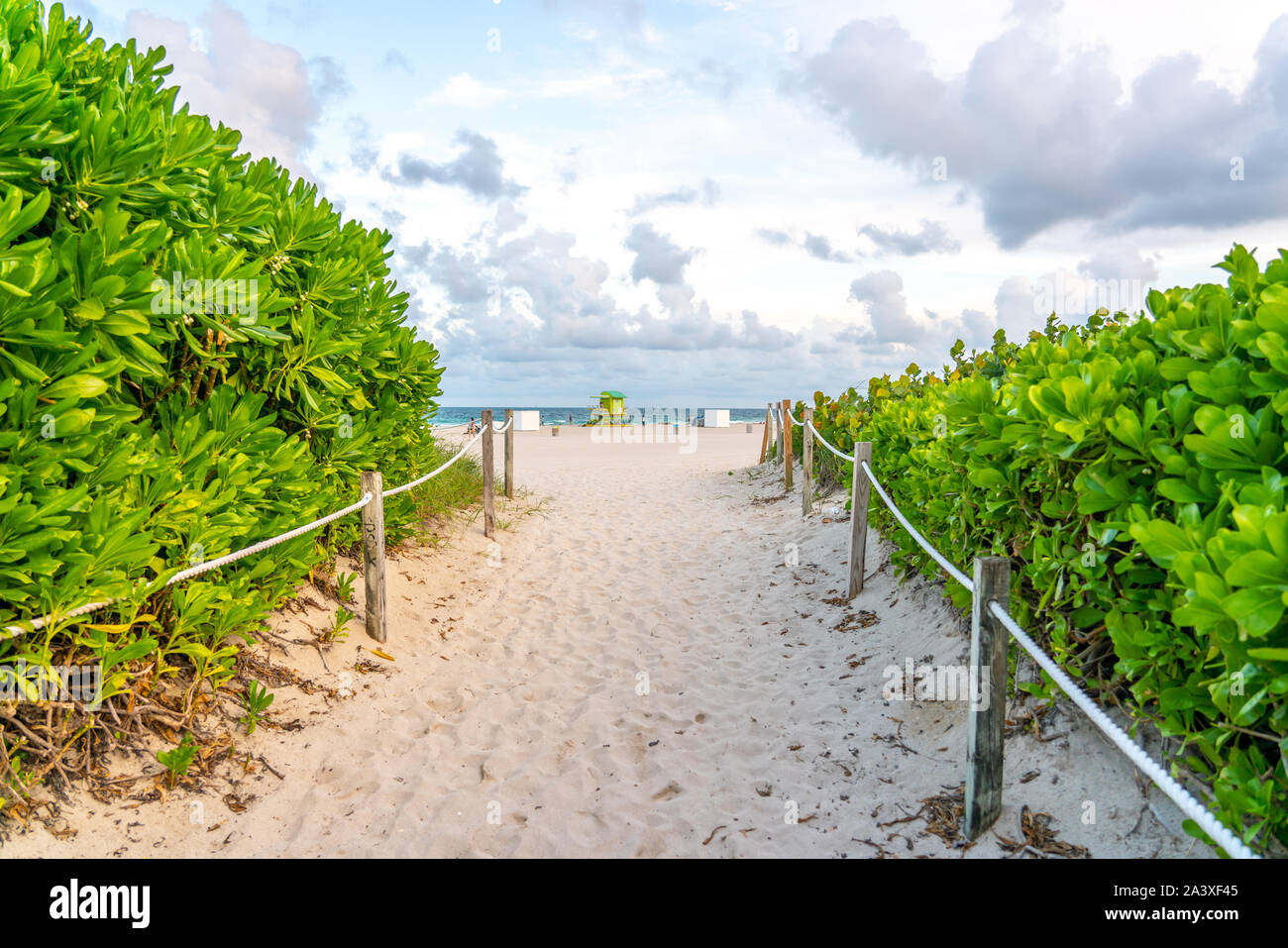 Pathway to the beach in Miami Florida with an ocean background Stock ...
