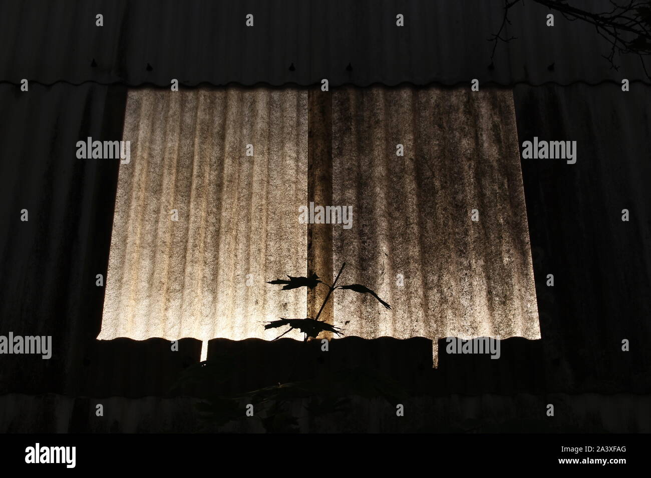 Sun back lighting through a old and dirty transparent corrugated sheet ...