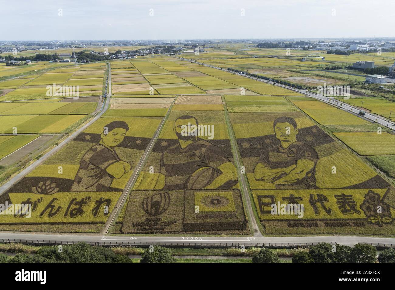 Saitama, Japan. 10th Oct, 2019. The world's largest rice paddy art with ...