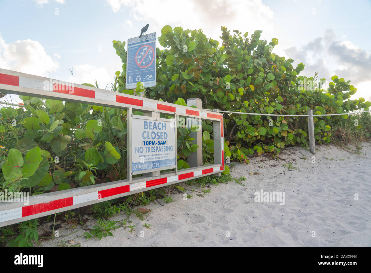 Pathway to the beach in Miami Florida with grass and ocean background ...
