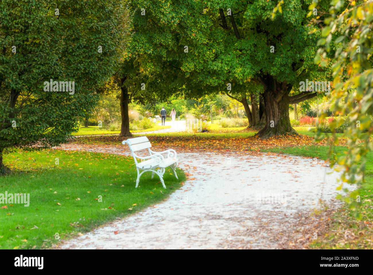 Blank white bench in the park Stock Photo - Alamy