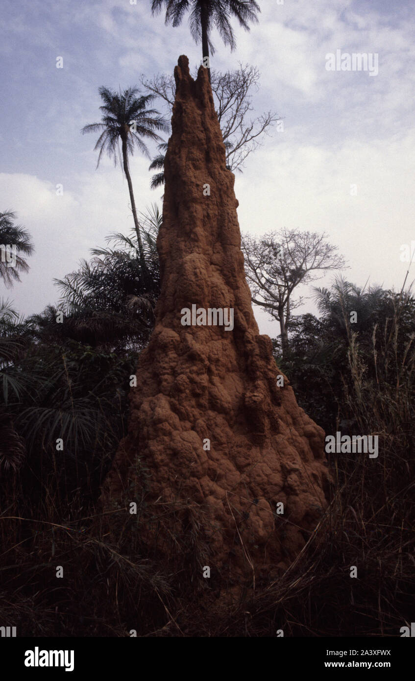 Termite hill, Western Africa Stock Photo - Alamy