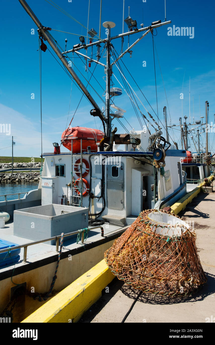 Old perlican hi-res stock photography and images - Alamy