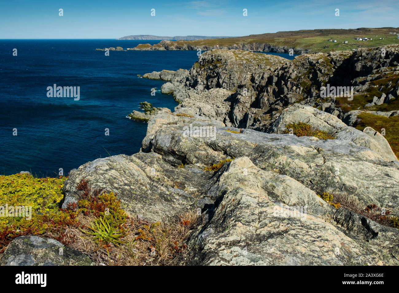 Coastal view from cliffs near Grates Cove, Newfoundland Stock Photo - Alamy