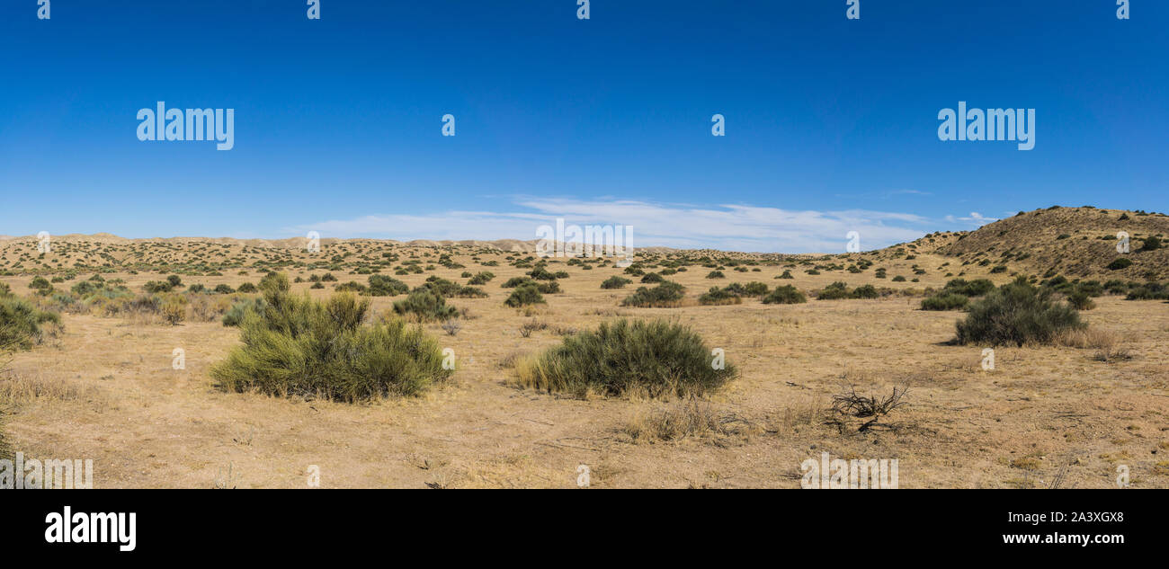 Open arid plain in desert grassland of southern California in the ...