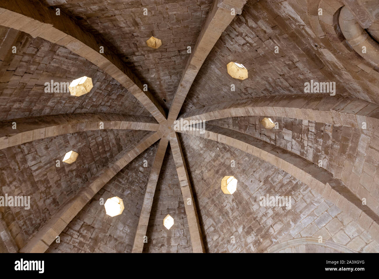 Eight rib vault hi-res stock photography and images - Alamy