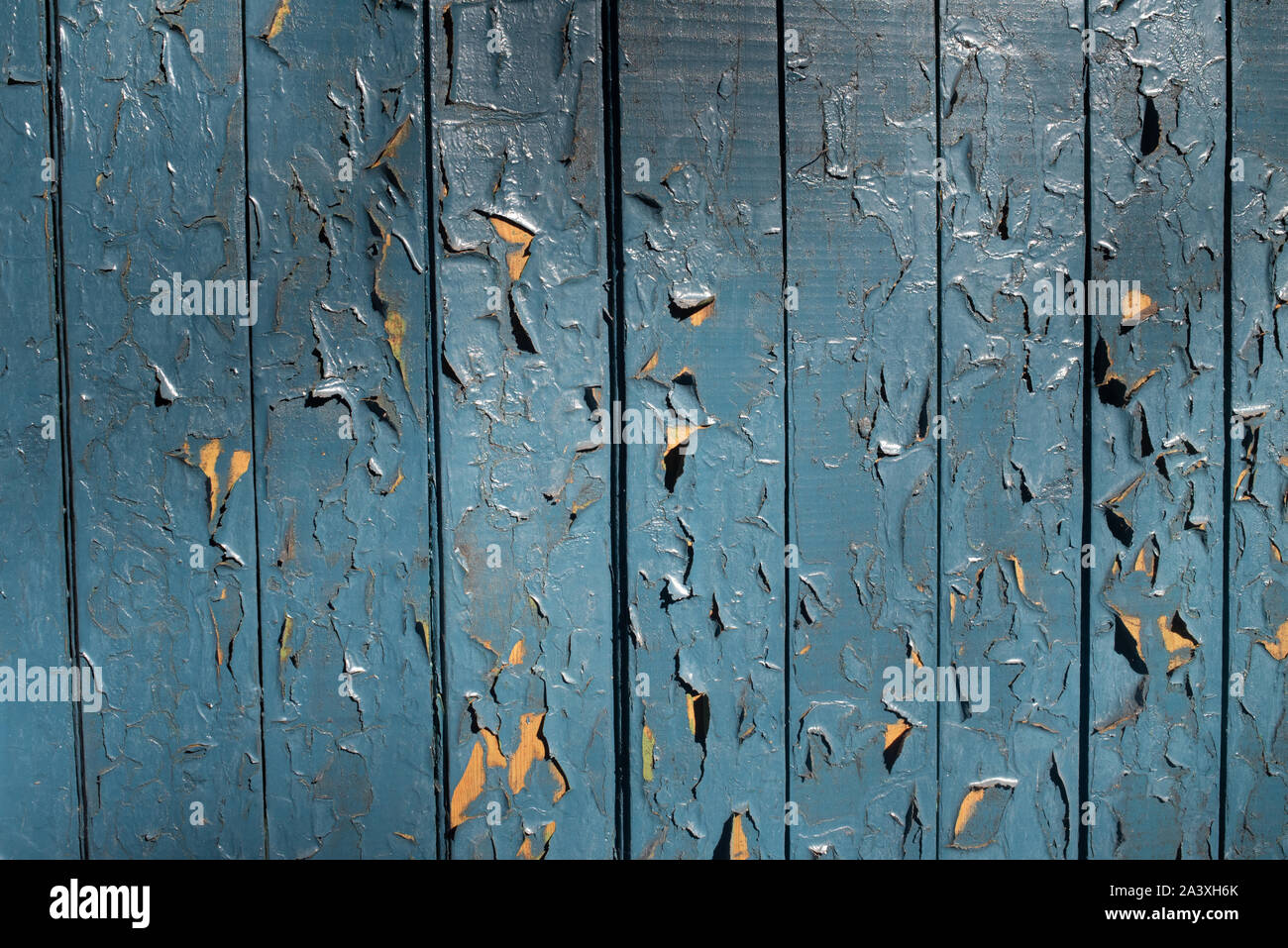 aged blue painted grunge wood texture background. Antique blue wood texture. Wooden planks shot ...