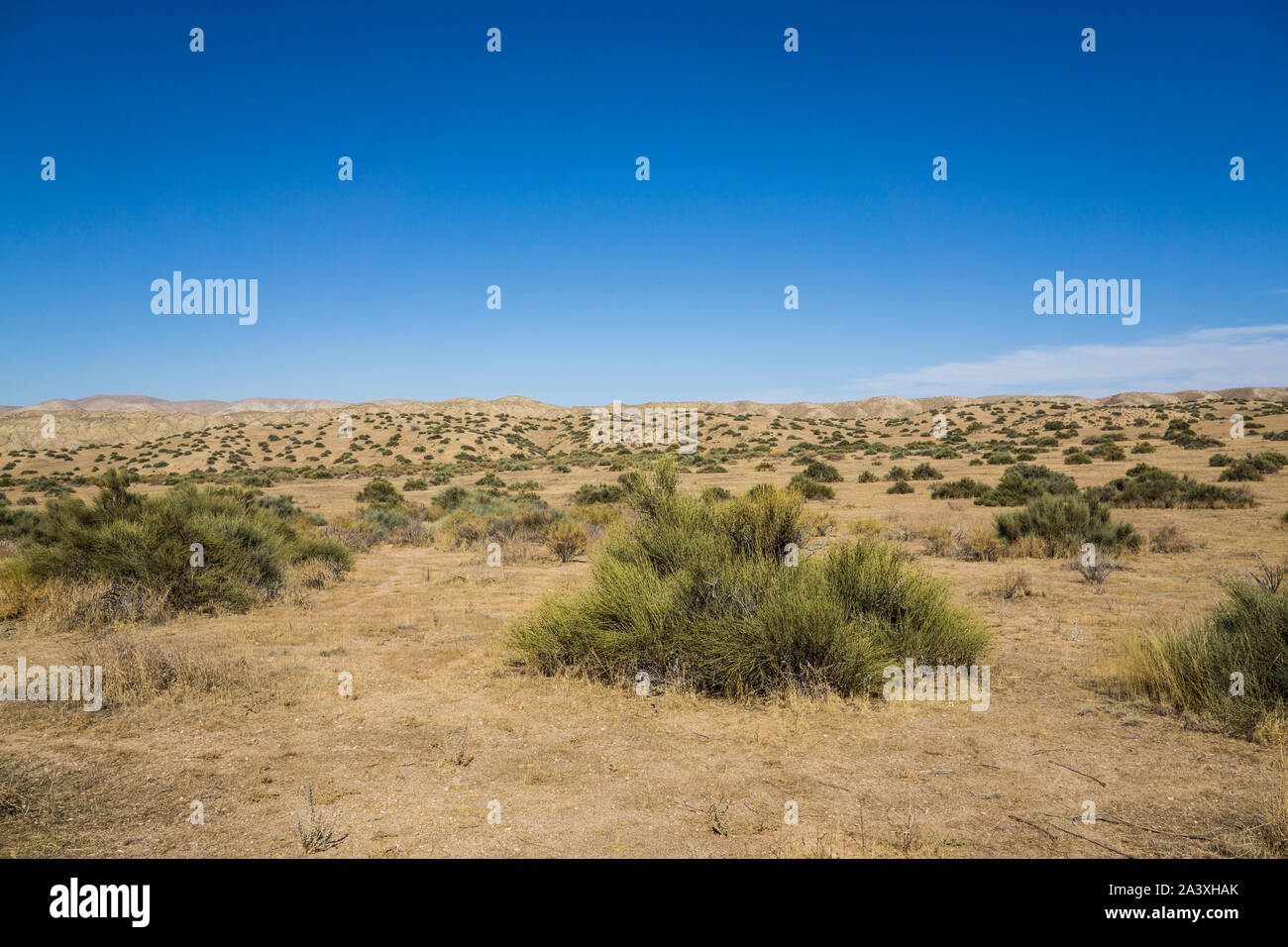 Ecosystem carrizo plain hi-res stock photography and images - Alamy