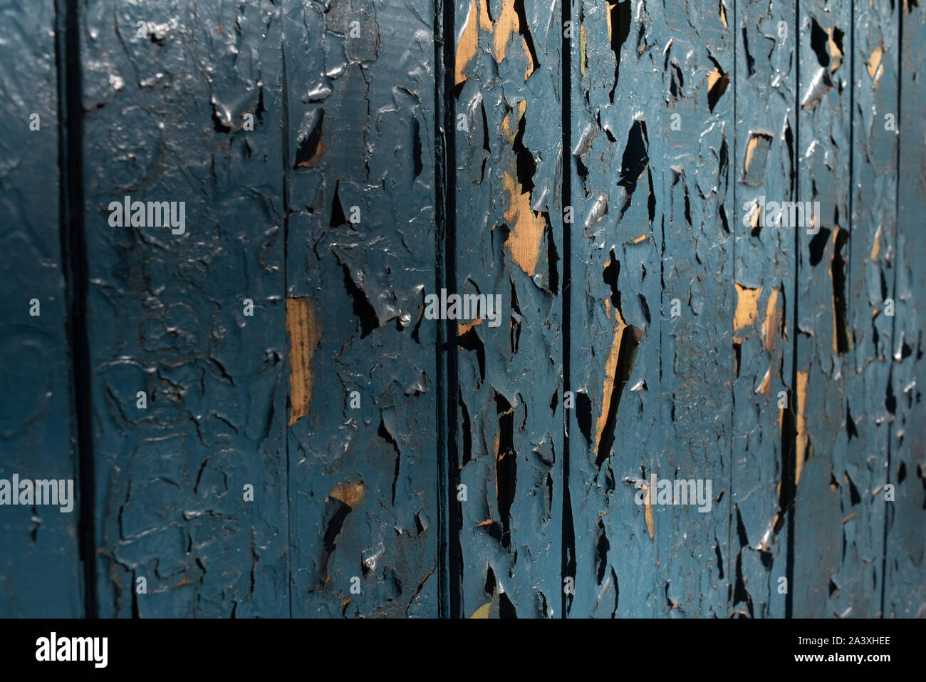 aged blue painted grunge wood texture background. Antique blue wood texture. Wooden planks shot ...