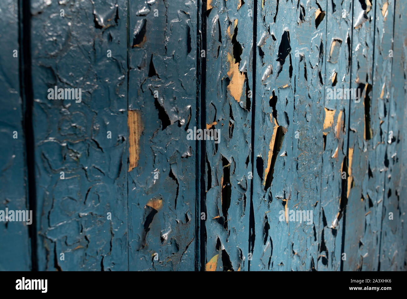 aged blue painted grunge wood texture background. Antique blue wood texture. Wooden planks shot ...