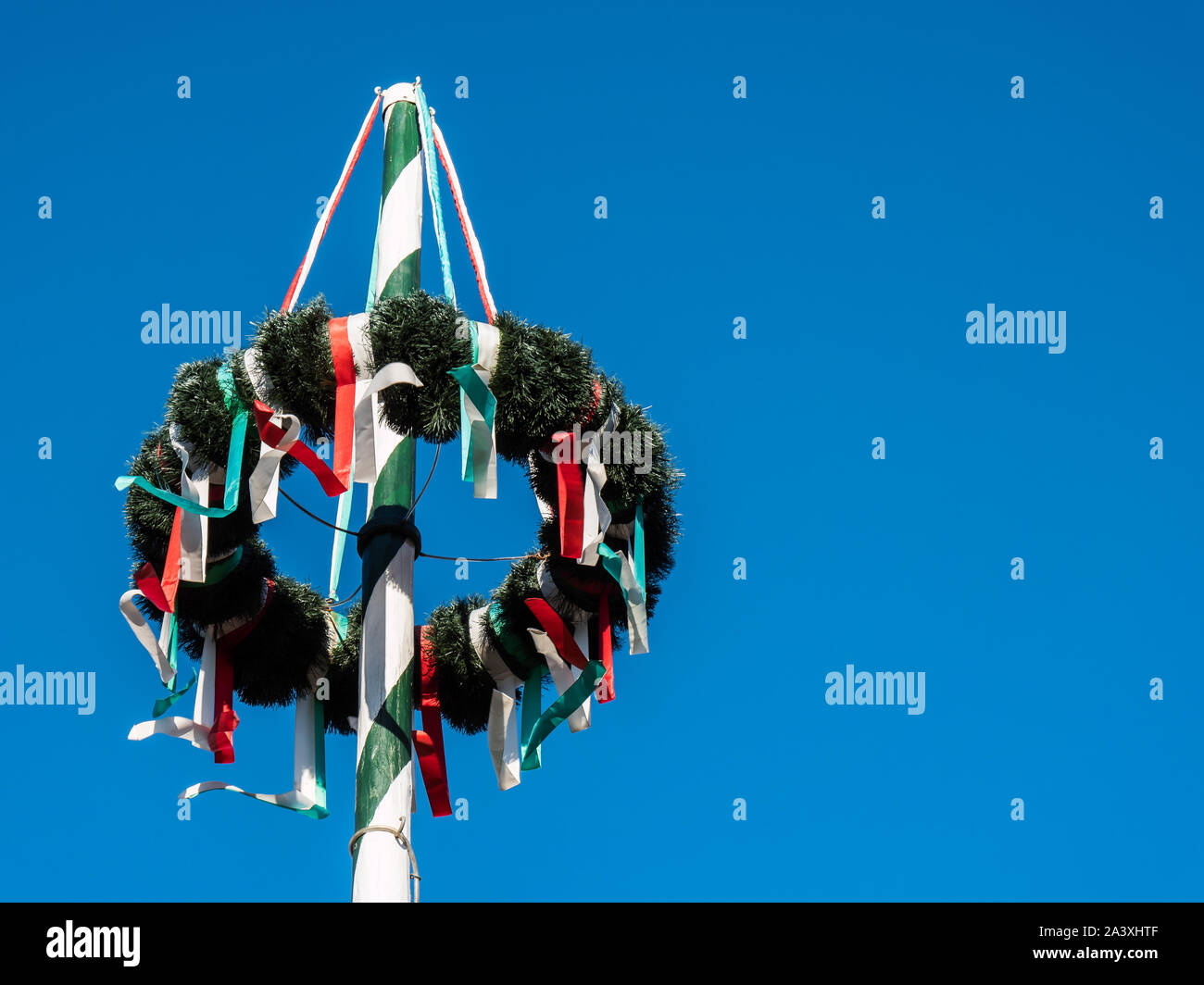 May tree in spring Stock Photo - Alamy