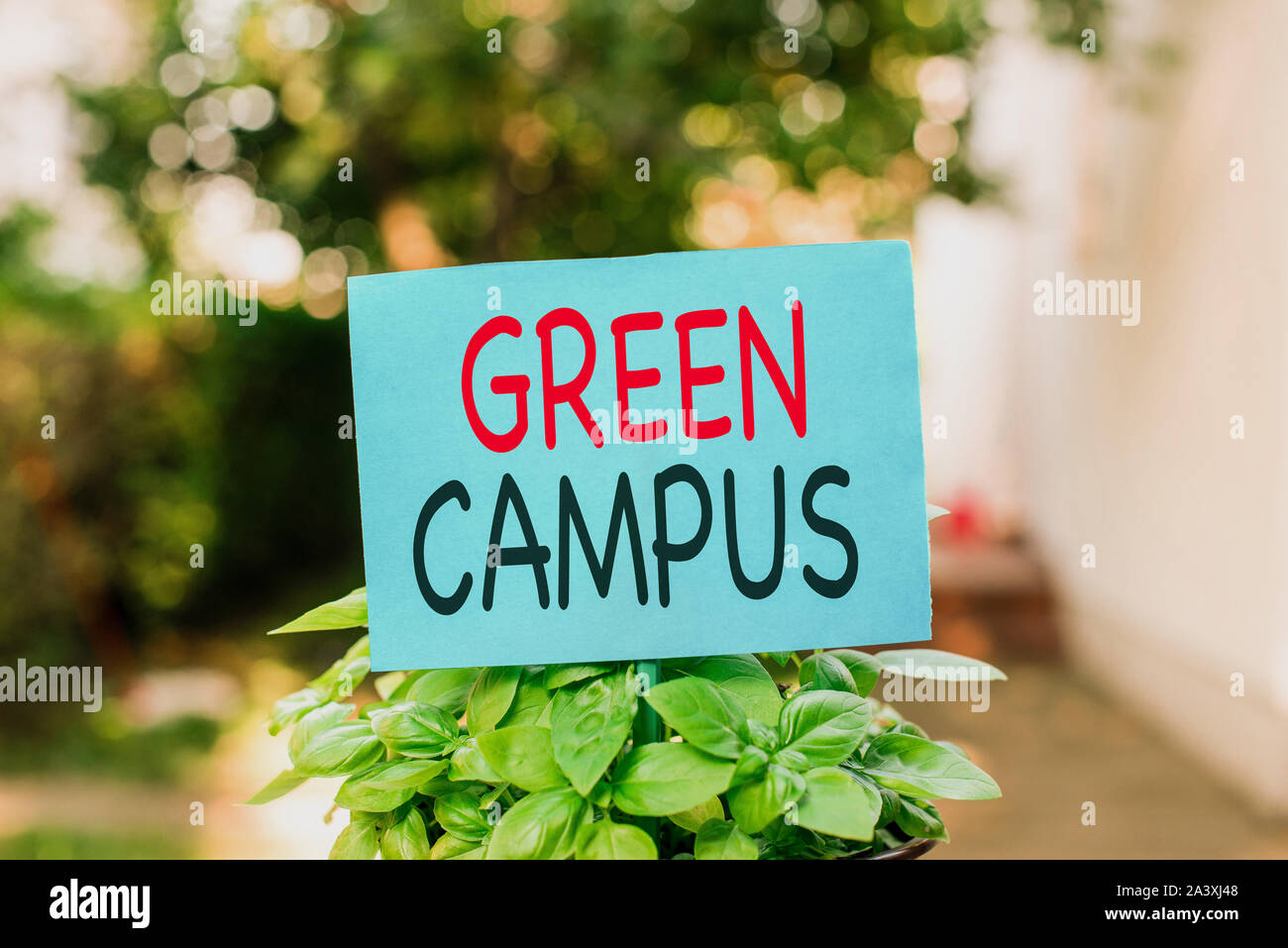 Writing note showing Green Campus. Business concept for sustainable and ...