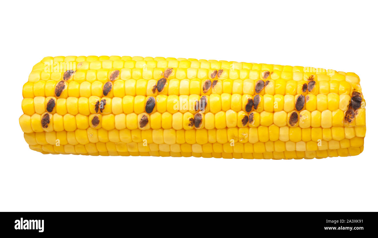 Grilled corn cob or maize ear, isolated Stock Photo - Alamy