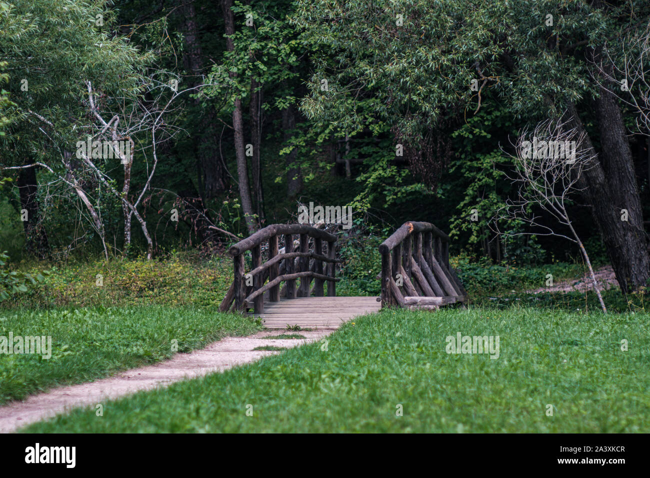 small narrow trail in the woods. passage way in forest sunny day Stock ...