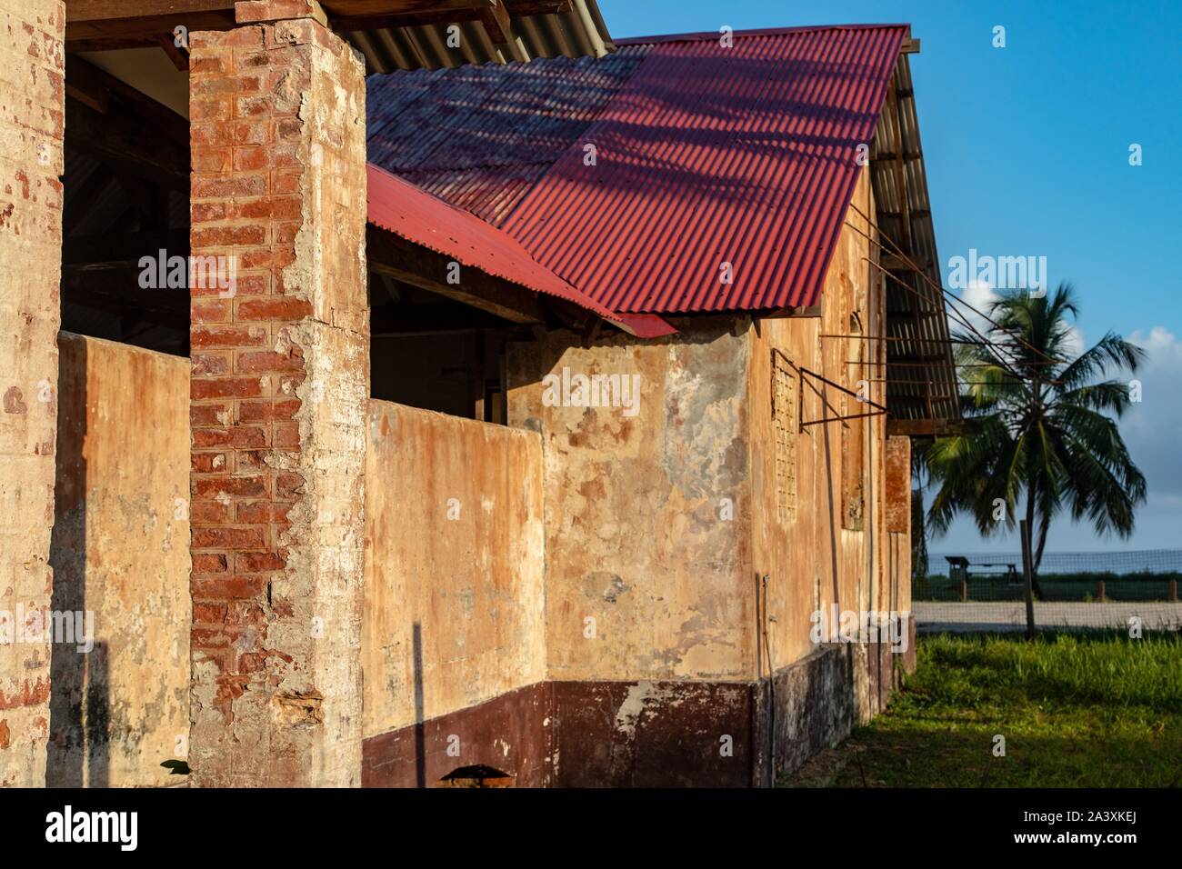 Coconut tree camp hi-res stock photography and images - Alamy