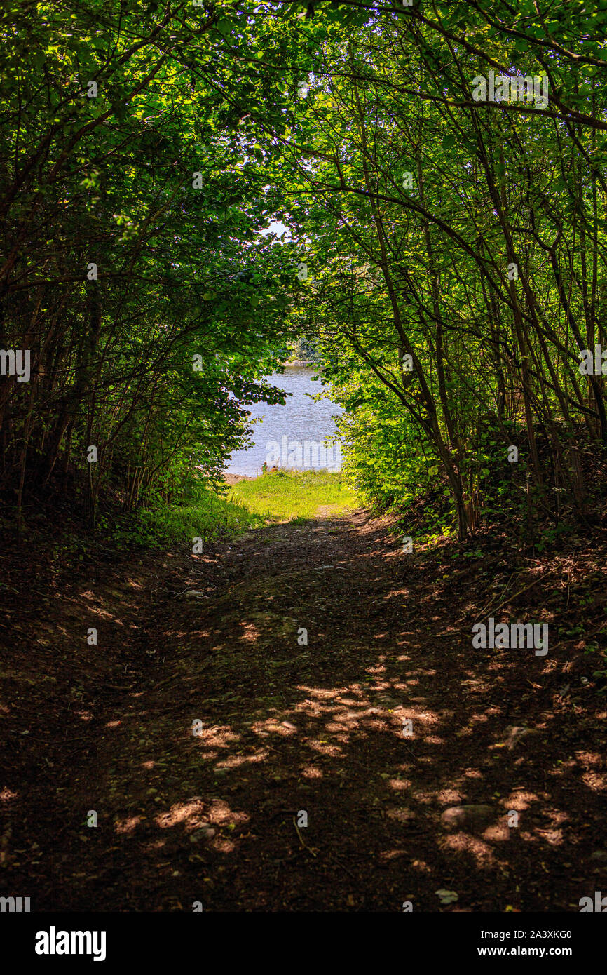 small narrow trail in the woods. passage way in forest sunny day Stock ...