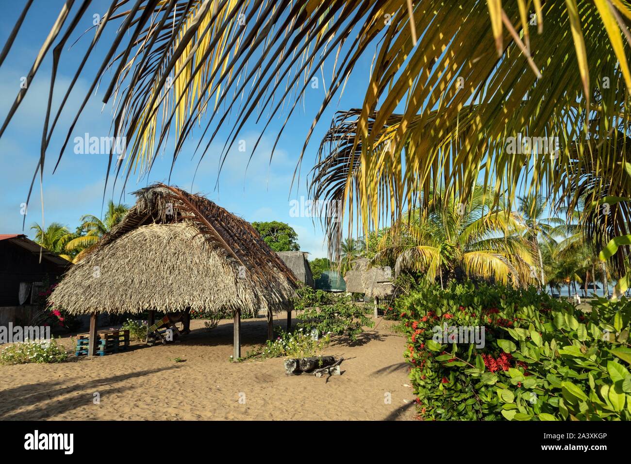 South amana hi-res stock photography and images - Alamy