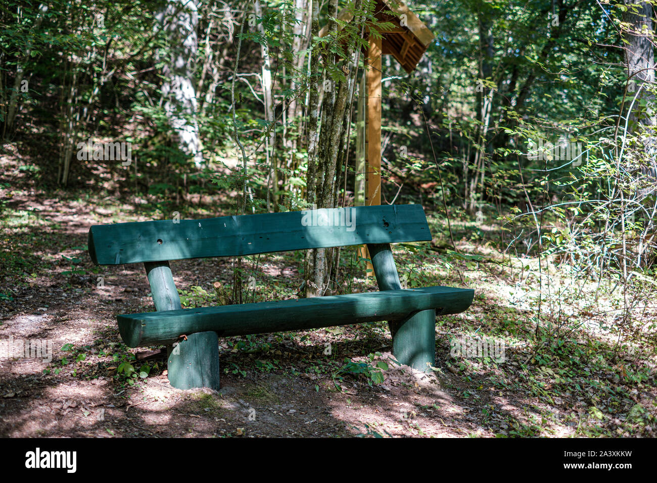 small narrow trail in the woods. passage way in forest sunny day Stock ...