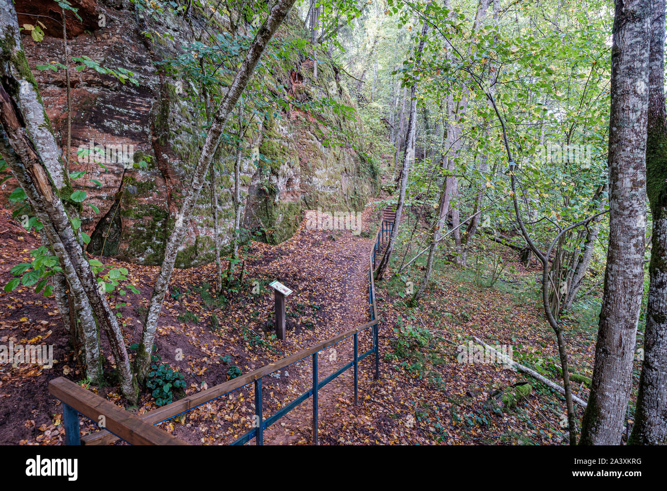 small narrow trail in the woods. passage way in forest sunny day Stock ...