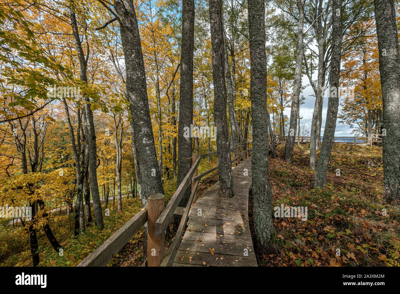 small narrow trail in the woods. passage way in forest sunny day Stock ...