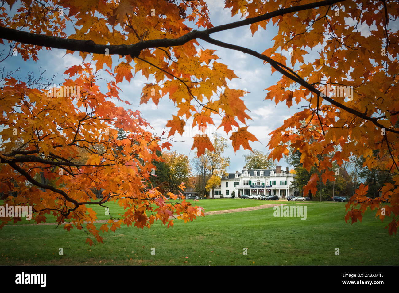 Eagleton Institute of Politics at Rutgers University, with fallen maple ...