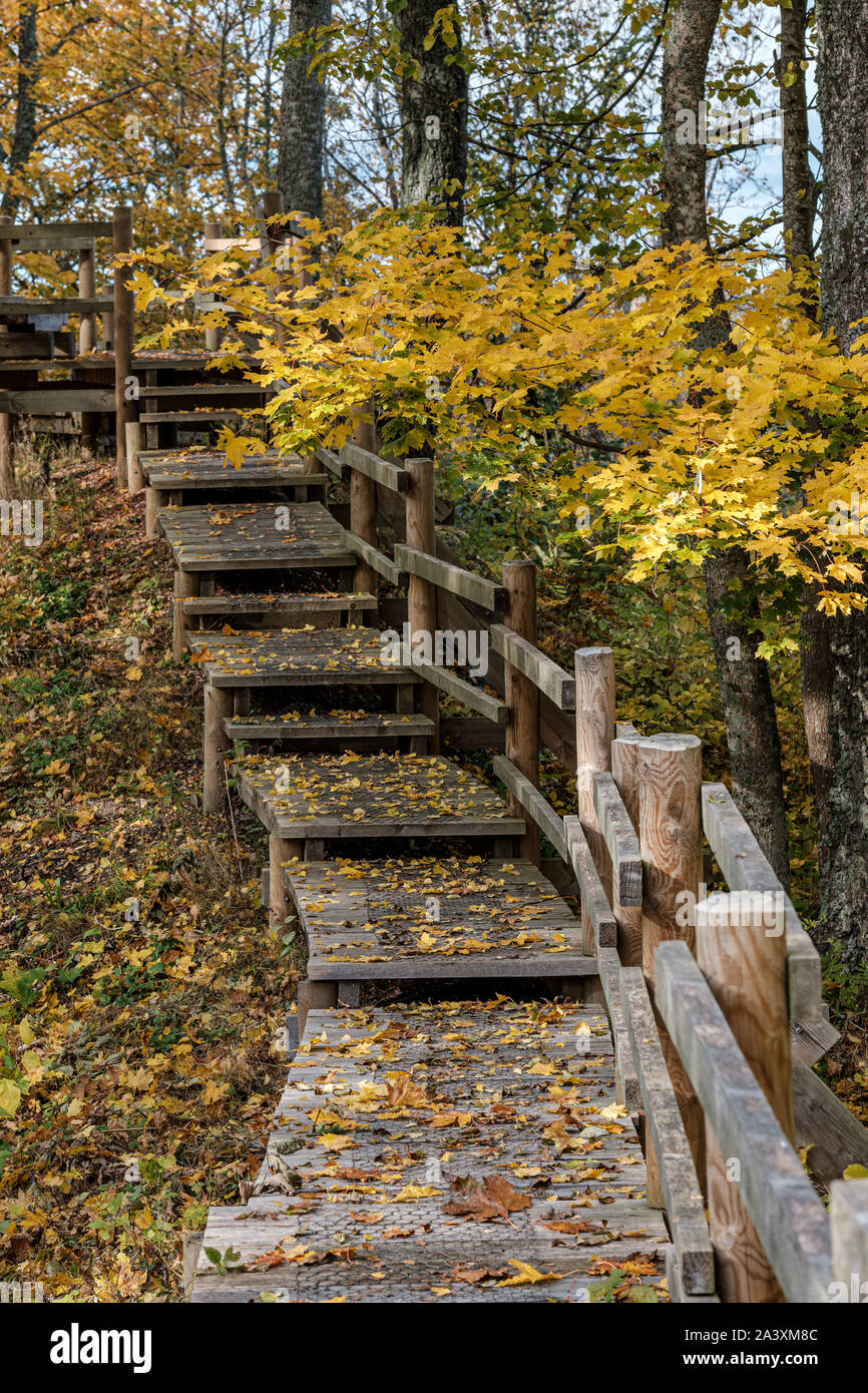 small narrow trail in the woods. passage way in forest sunny day Stock ...