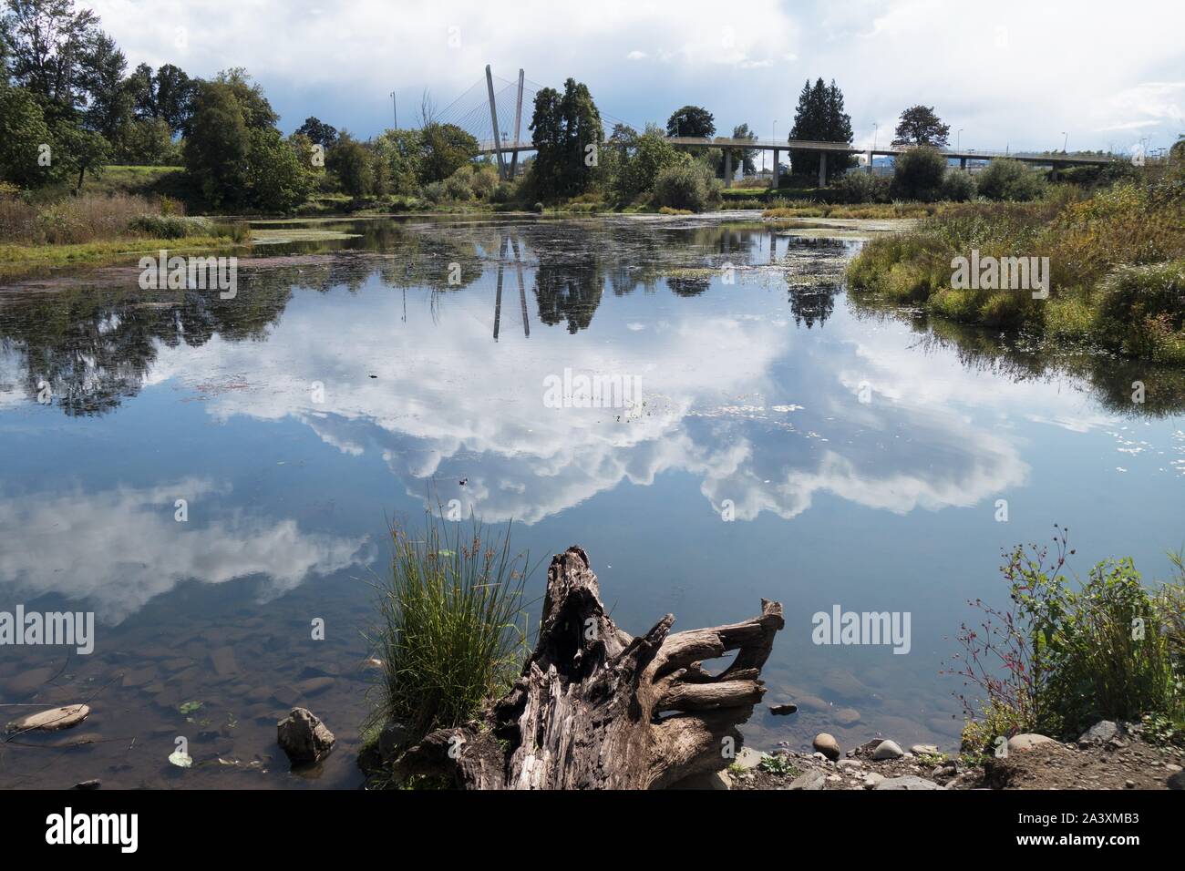 Delta ponds hi-res stock photography and images - Alamy