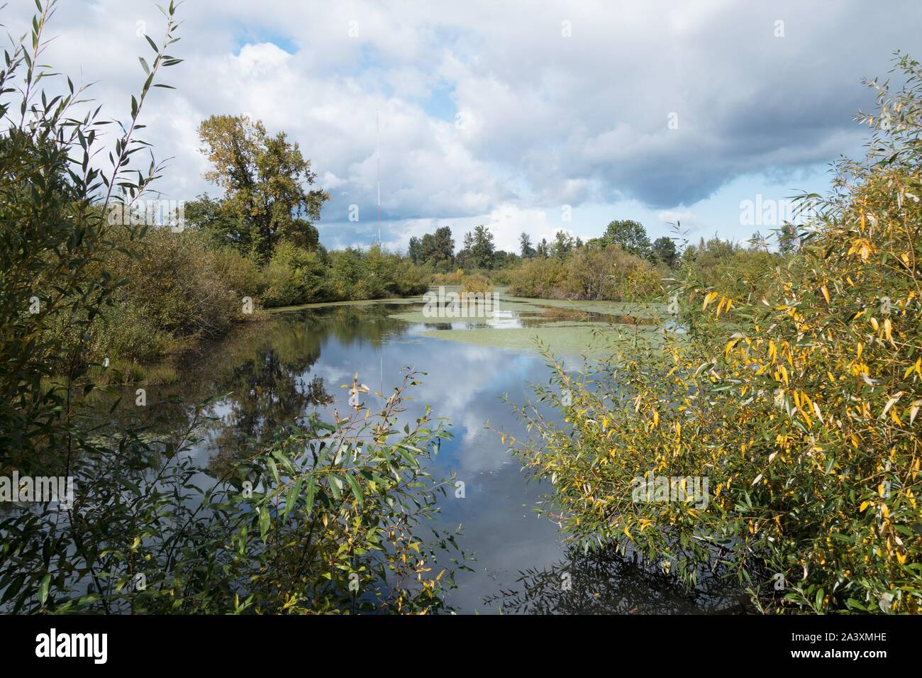 The Delta Ponds in Eugene, Oregon, USA Stock Photo - Alamy