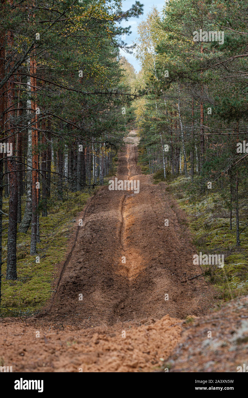 small narrow trail in the woods. passage way in forest sunny day Stock ...