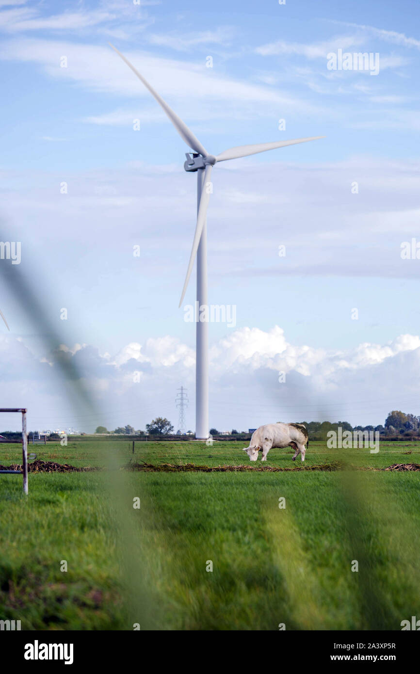 windmill with fresh green grass and clear blue sky in summer, energy ...