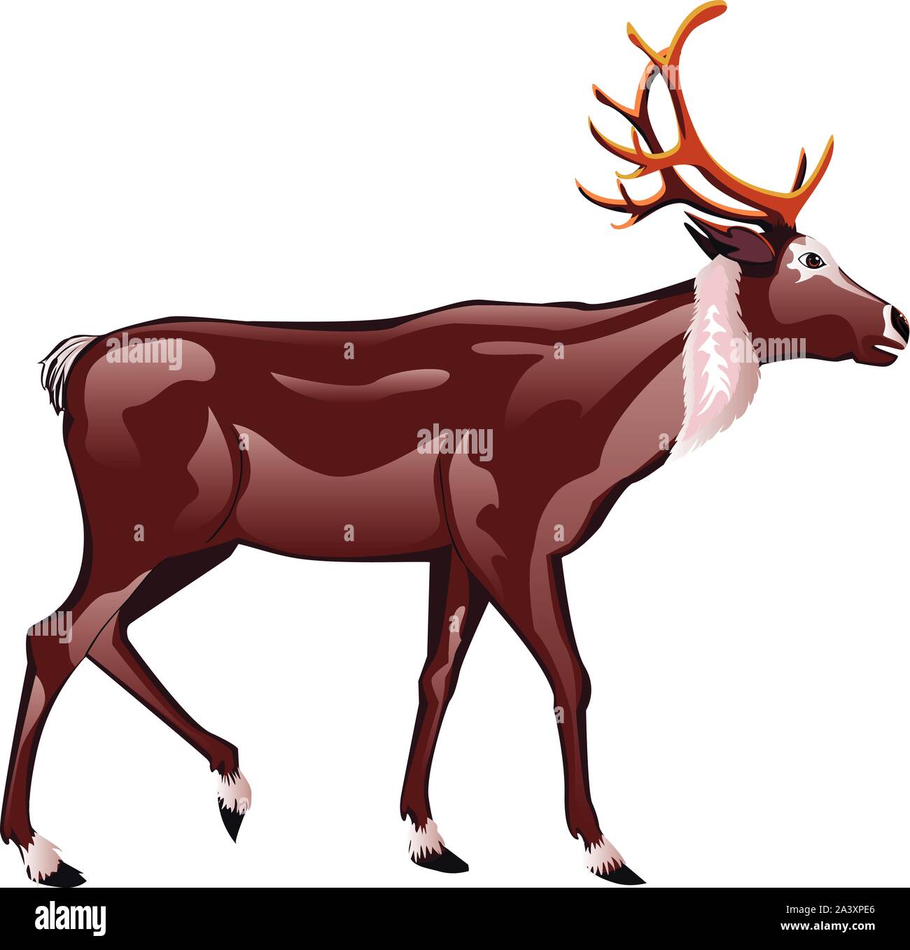 Cartoon brown male deer illustration on white background Stock Vector ...