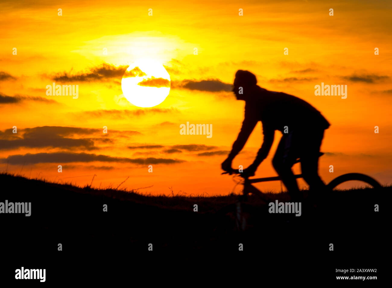 Cyclist, mountain biker, riding in front of the setting sun Stock Photo ...