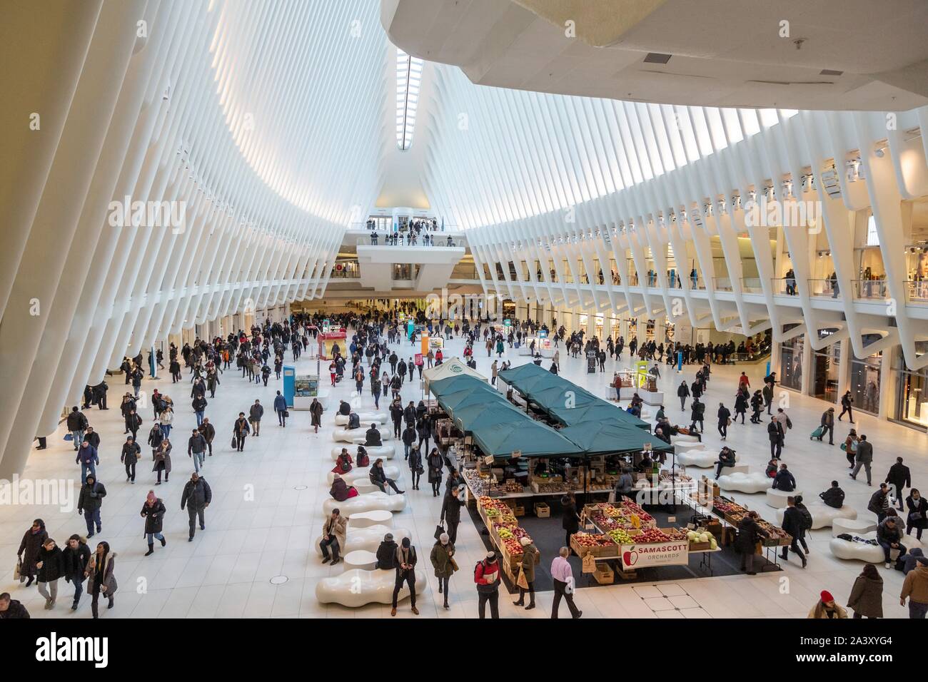 INSIDE THE OCULUS, FUTURIST STATION AT ONE WORLD TRADE CENTER ...