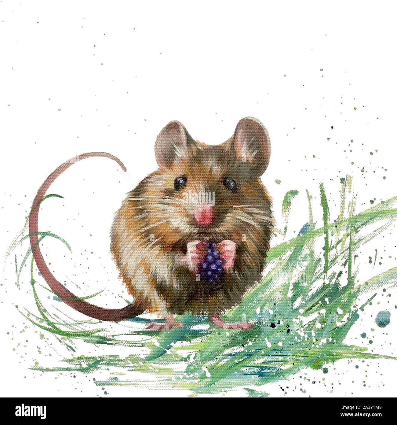 Mouse painting hi-res stock photography and images - Alamy