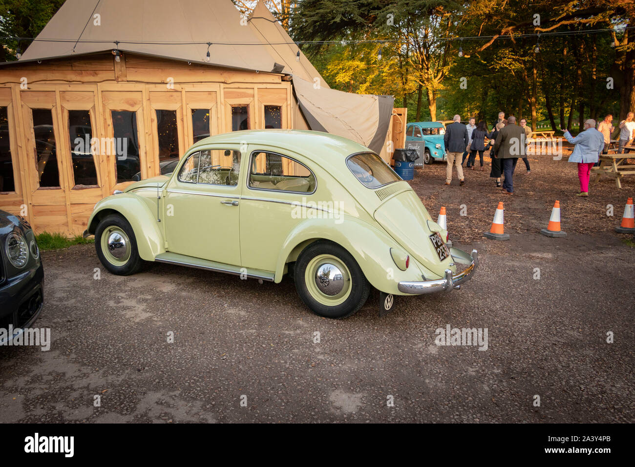 Classic 1960s vw beetle car hi-res stock photography and images - Alamy