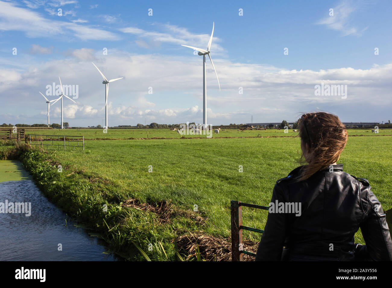 Attractive beautiful dutch girl in hi-res stock photography and images ...