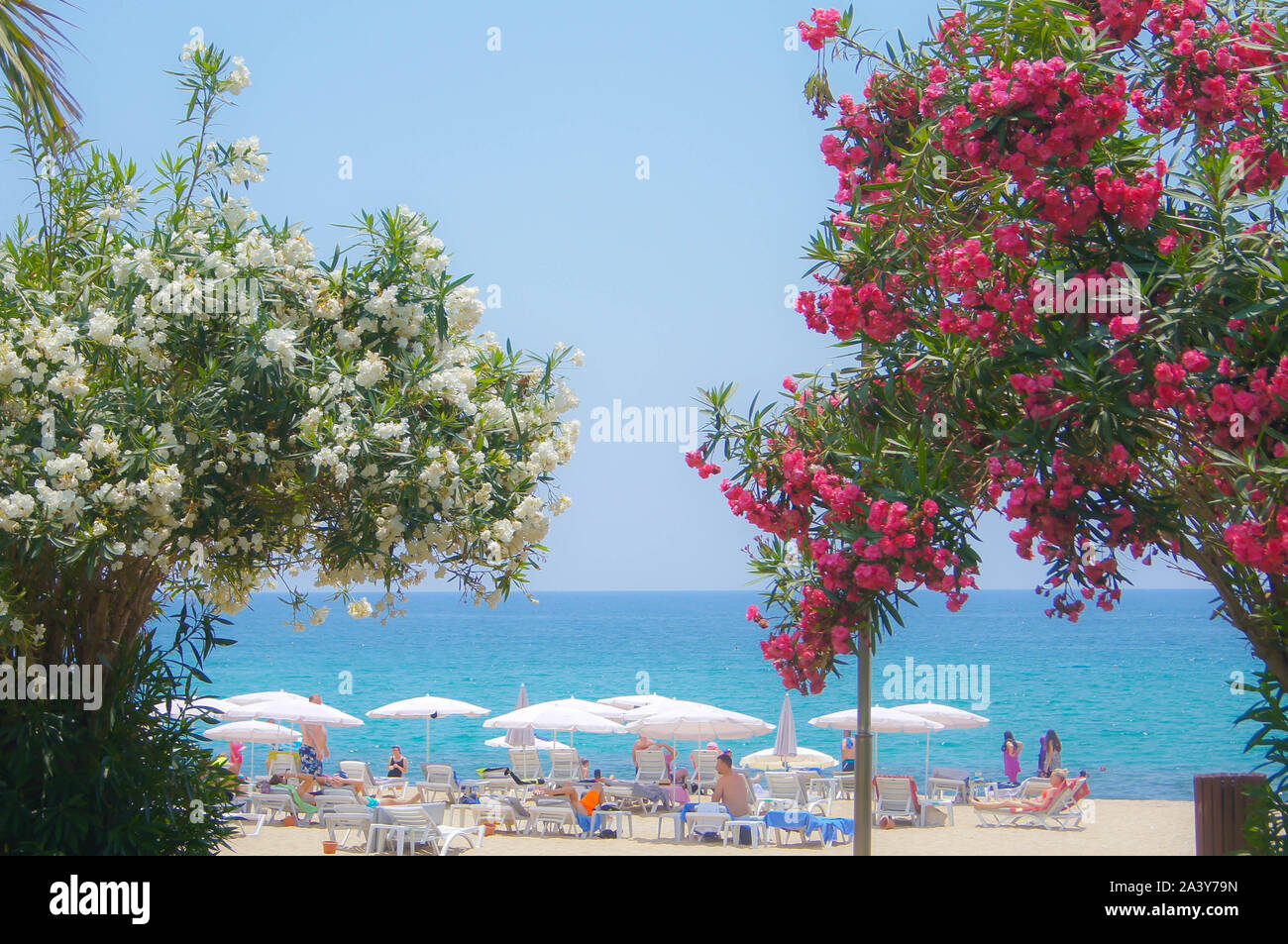 Veiw of the Mediterranean sea and Kleopatra beach framed with the ...