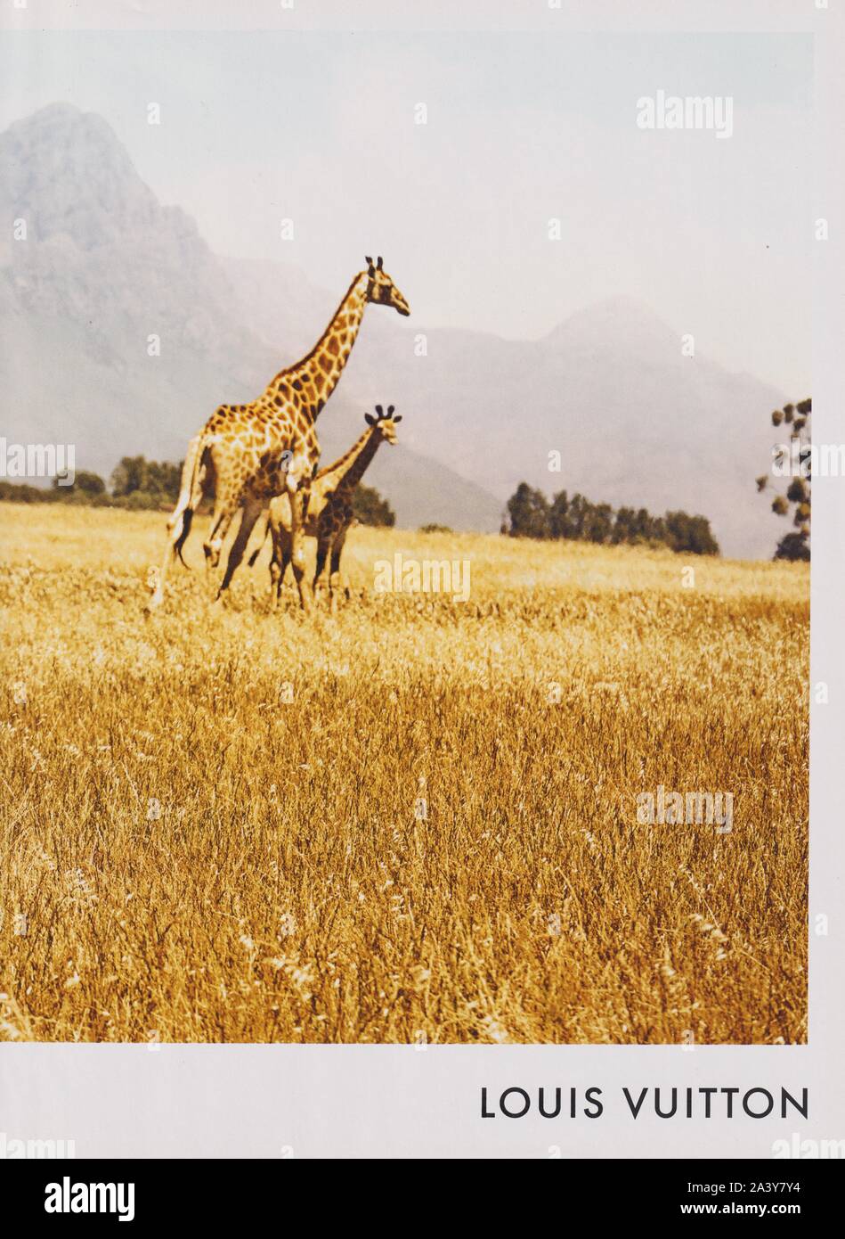 poster advertising Louis Vuitton handbag in paper magazine from 2014 ...