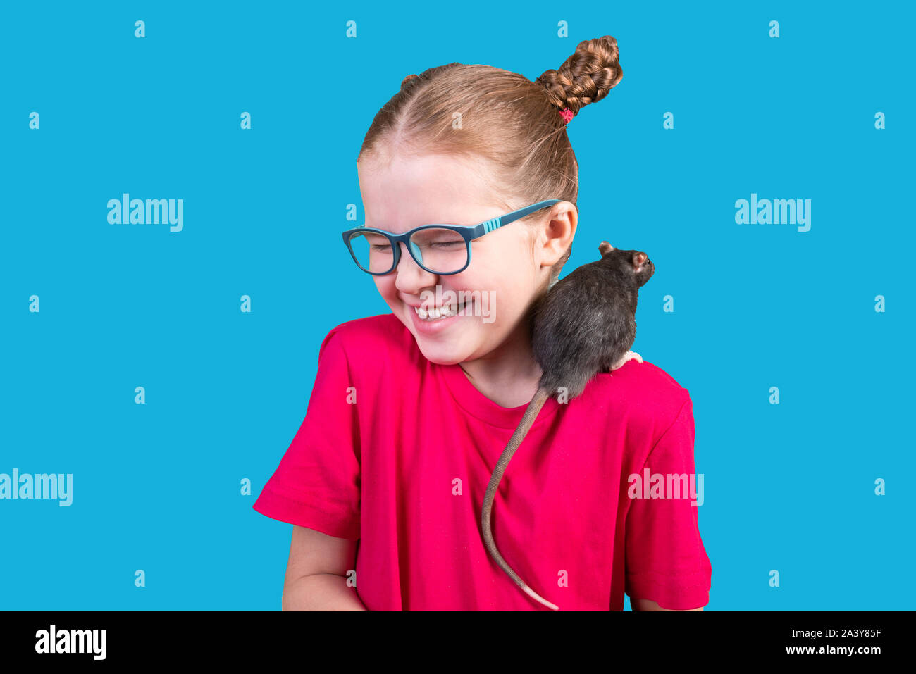 Little girl in glasses with a rat on his shoulder. Isolated on a blue ...