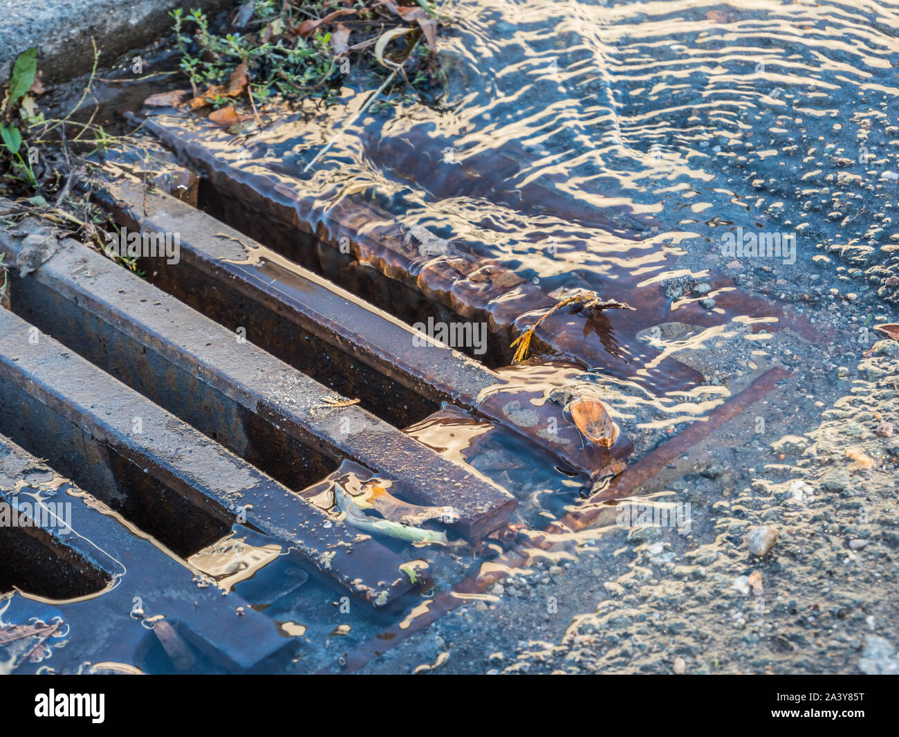 Gully filled with water Stock Photo - Alamy
