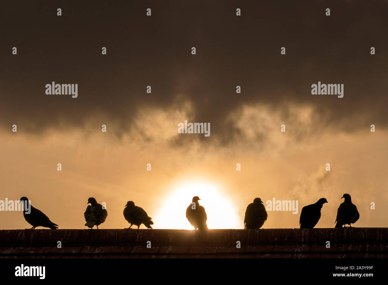 Seven shadows hi-res stock photography and images - Alamy