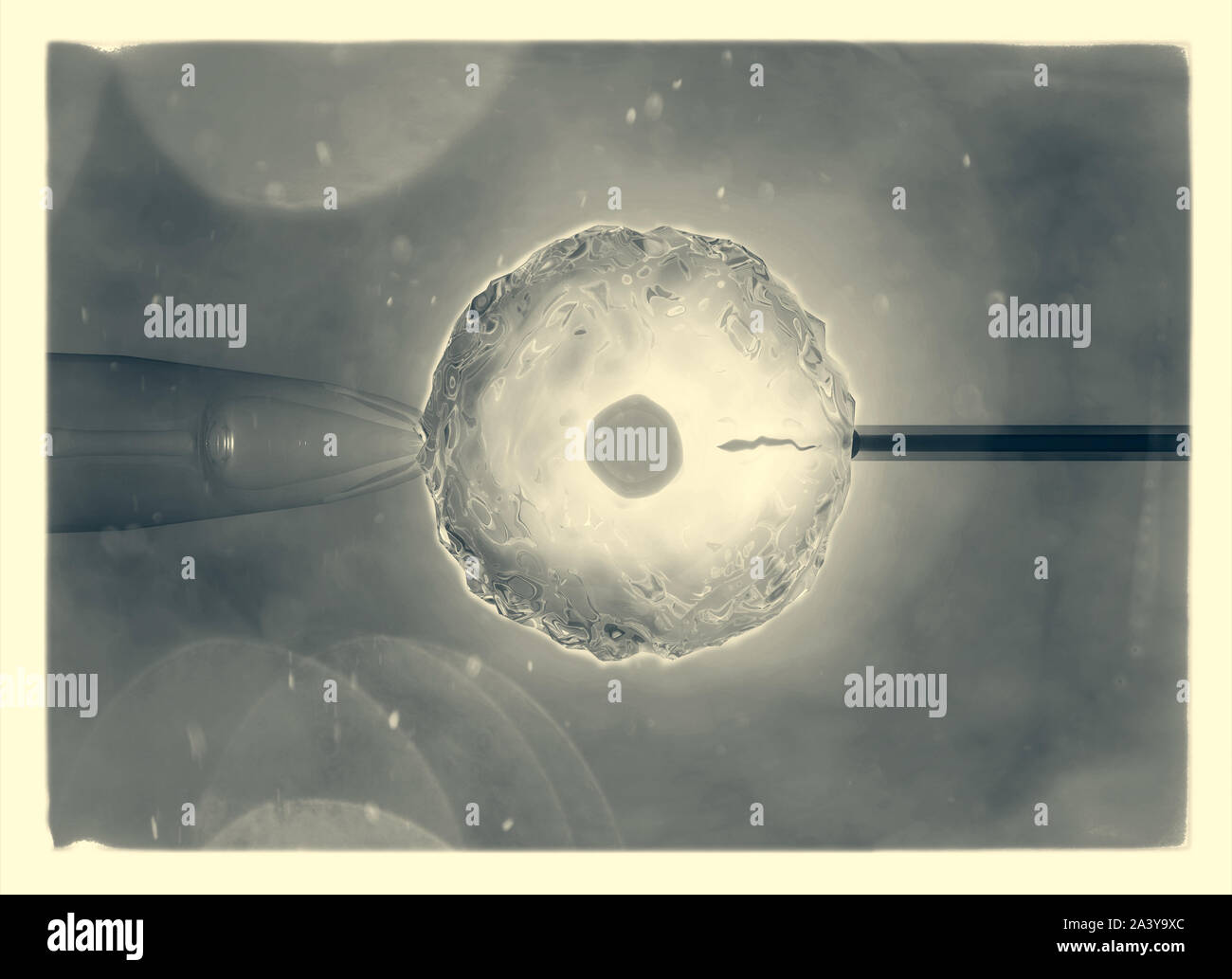 Observation under microscope hi-res stock photography and images - Alamy