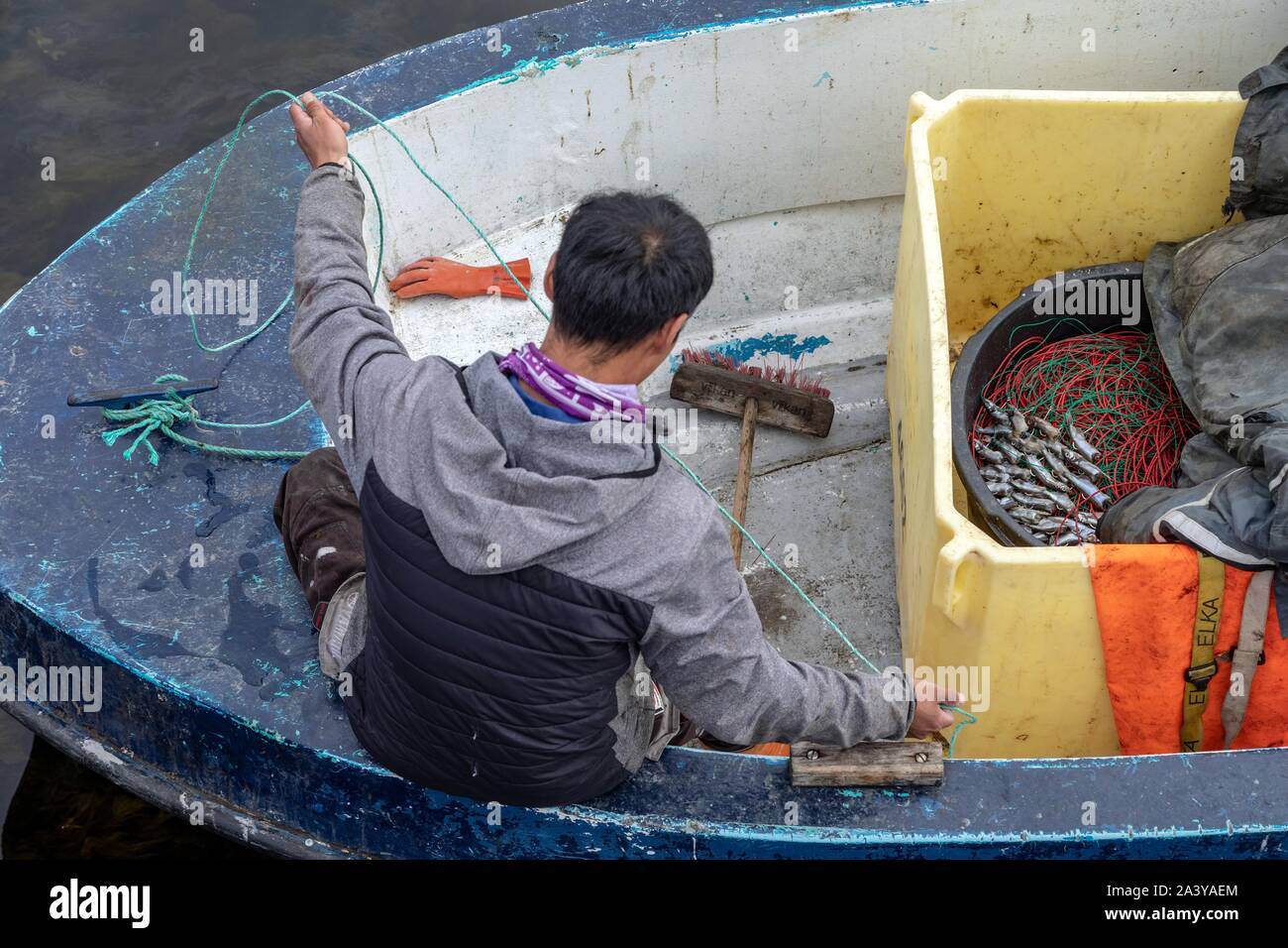 FISHERMAN IN THE FJORD, TOWN OF QAQORTOQ, GREENLAND, DENMARK Stock ...